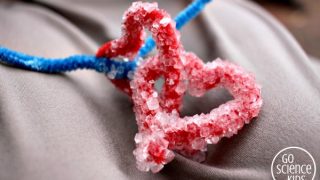 Valentine’s Day Unit Study - LovingHomeschool.com
