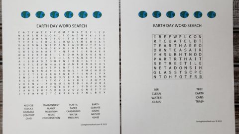 25 Earth Day Crafts, Activities and Experiments - LovingHomeschool.com