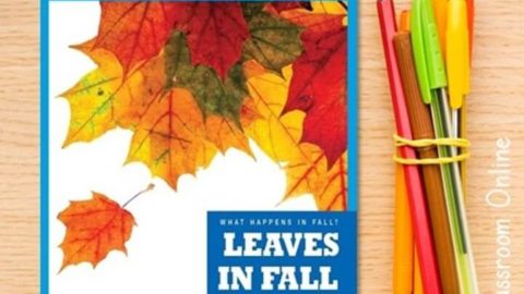51 Autumn Fall Craft Ideas for Kids - LovingHomeschool.com