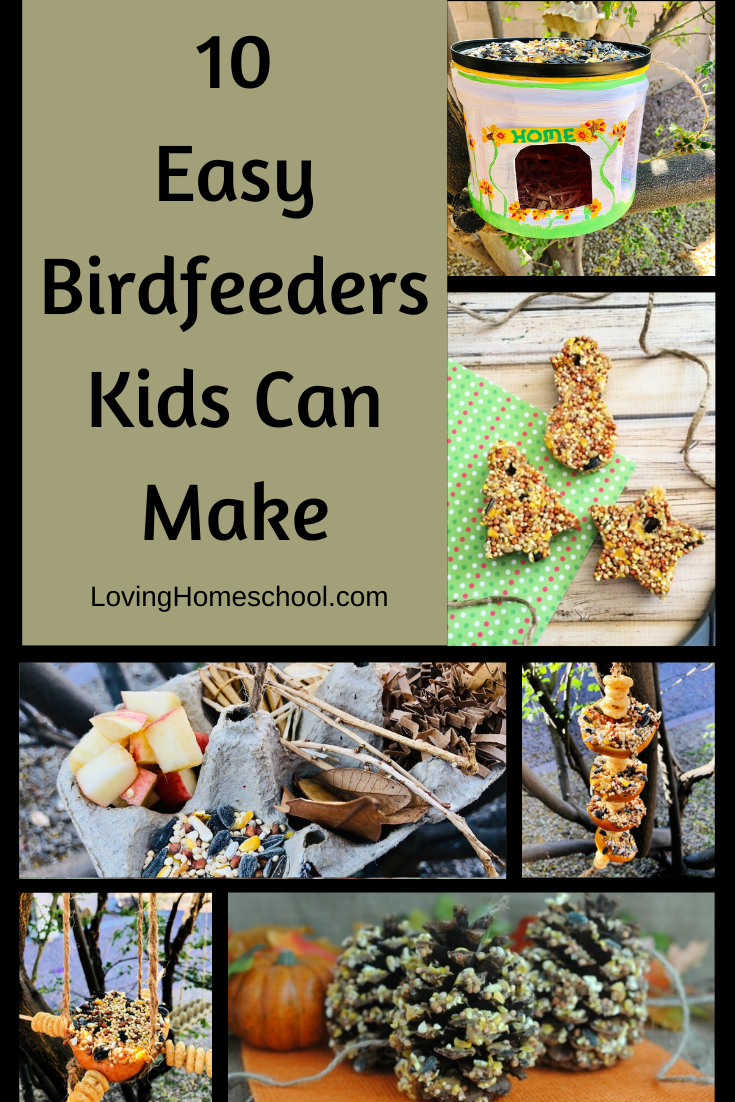 10 Easy Birdfeeders Kids Can Make - LovingHomeschool.com