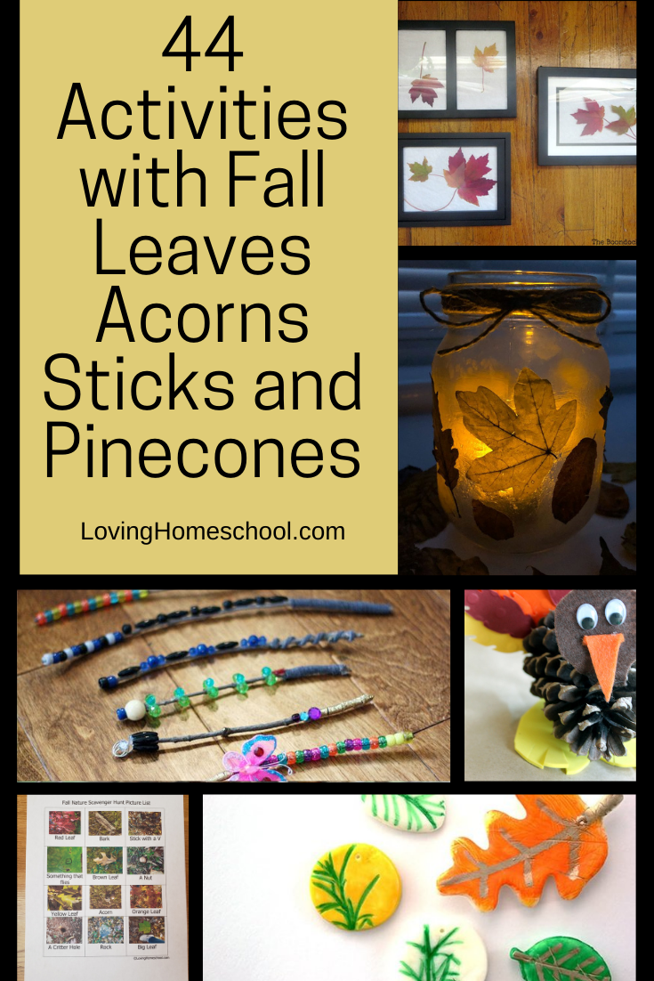 44 Activities with Fall Leaves Acorns Sticks and Pinecones ...