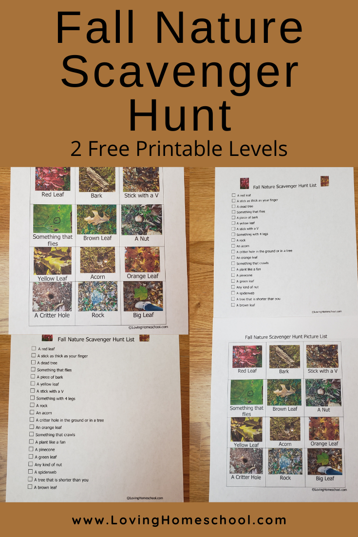 Fall Nature Scavenger Hunt - LovingHomeschool.com