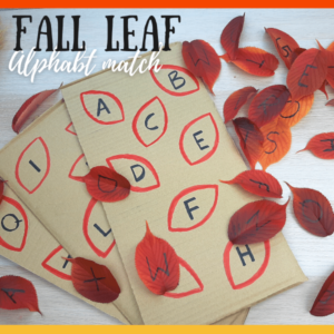 44 Activities with Fall Leaves Acorns Sticks and Pinecones ...