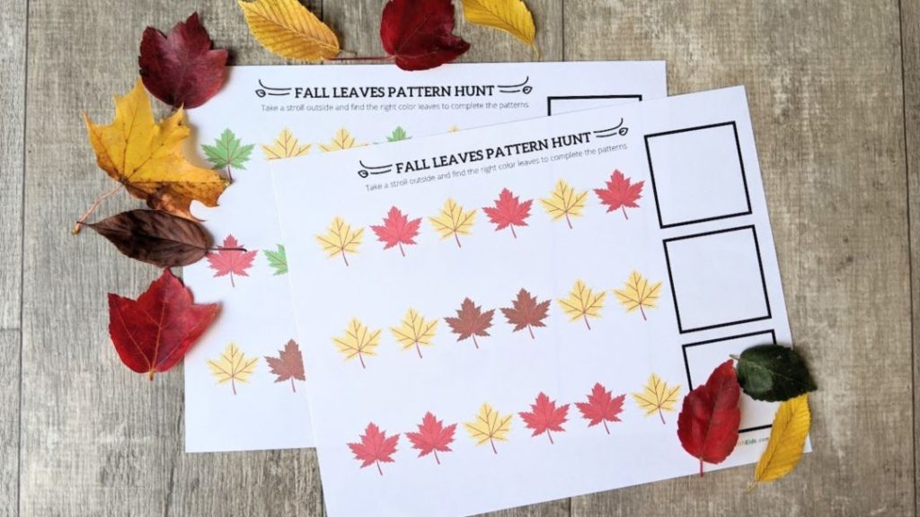 44 Activities with Fall Leaves Acorns Sticks and Pinecones ...