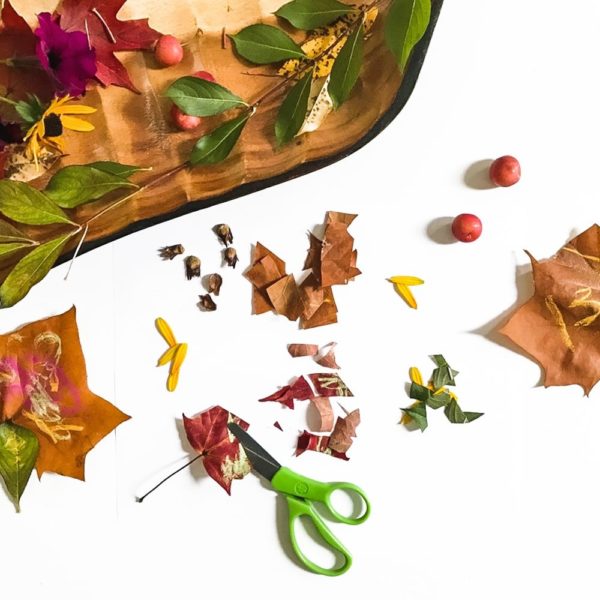 44 Activities with Fall Leaves Acorns Sticks and Pinecones ...