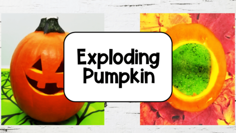 20 Experiments and Crafts with Real Pumpkins - LovingHomeschool.com