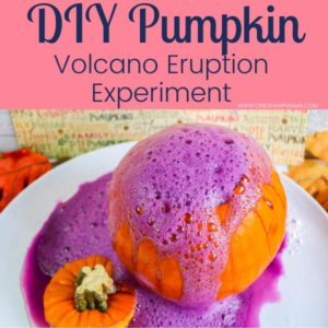 20 Experiments and Crafts with Real Pumpkins - LovingHomeschool.com