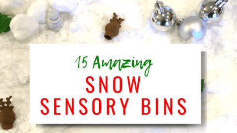 Snow Unit Study - LovingHomeschool.com