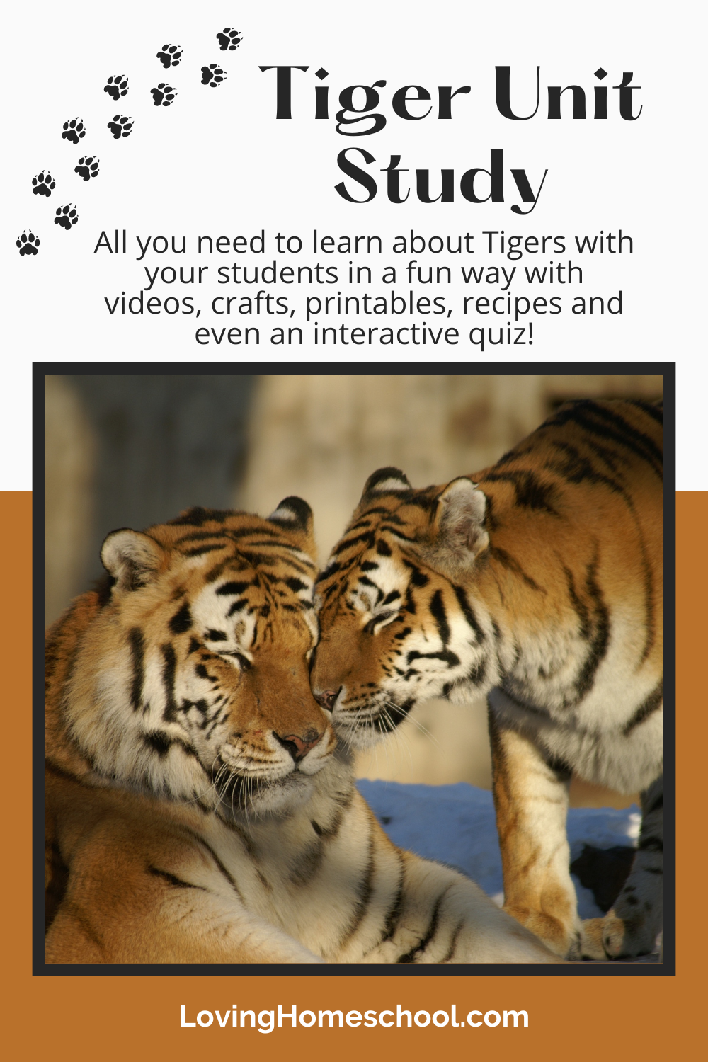 Tiger Unit Study - LovingHomeschool.com