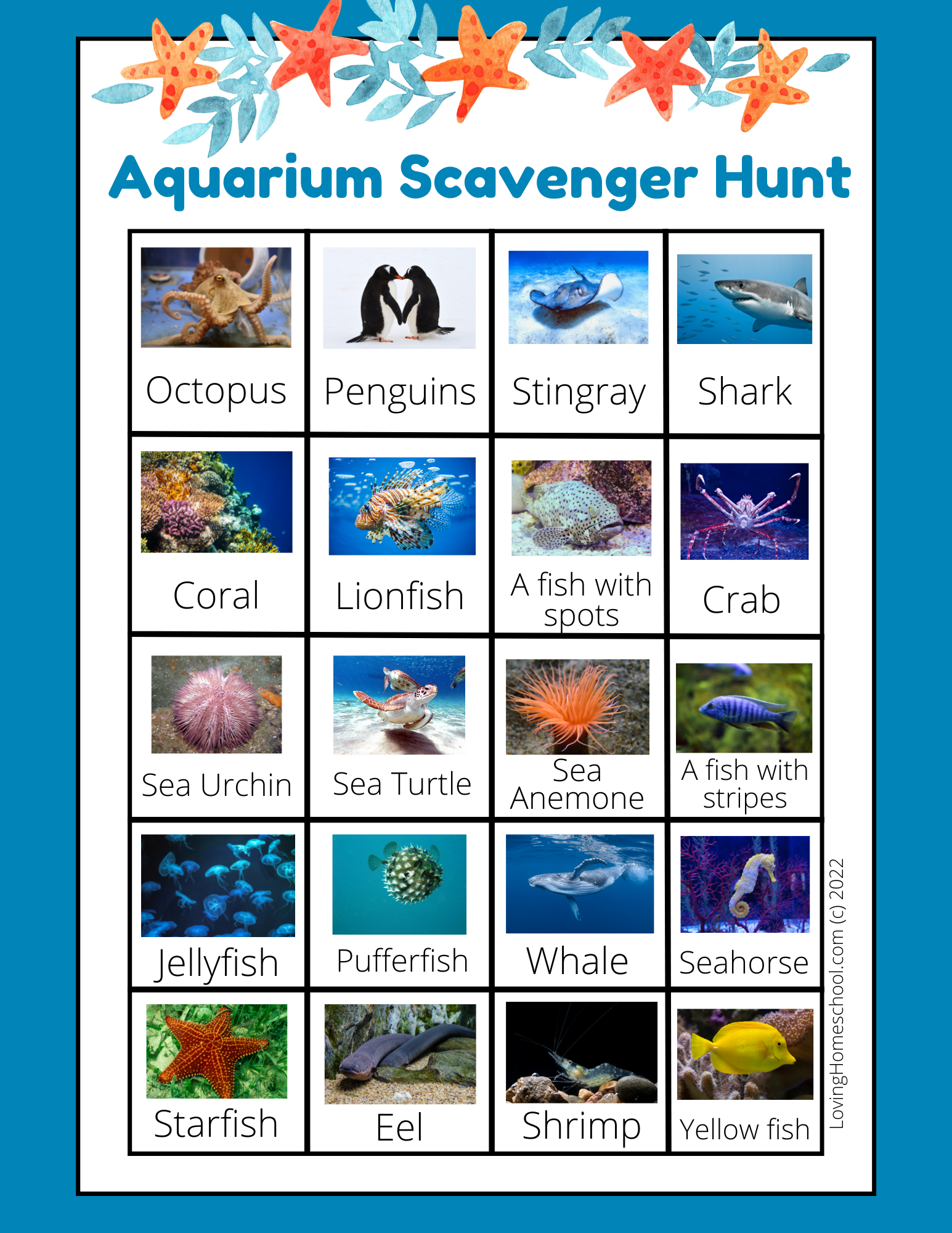Aquarium Scavenger Hunt - LovingHomeschool.com
