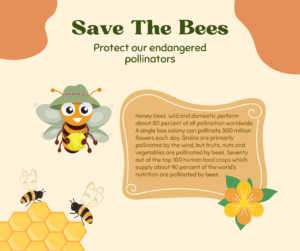 Honey Bee Unit Study - LovingHomeschool.com