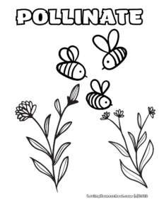 10 Honey Bee Coloring Pages - LovingHomeschool.com