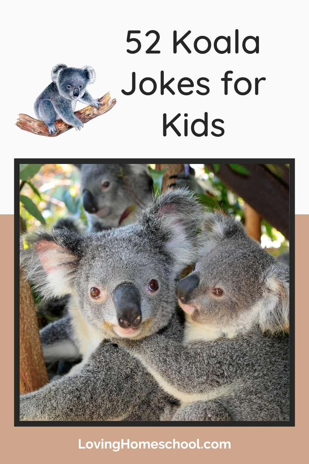 52 Koala Jokes for Kids - LovingHomeschool.com