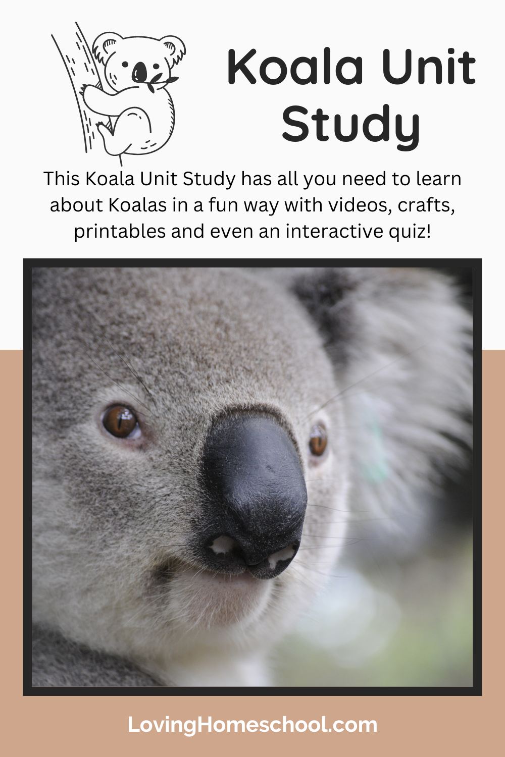 Koala Unit Study - LovingHomeschool.com