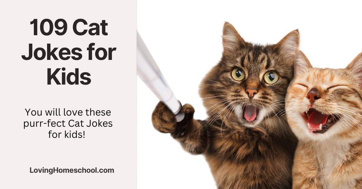 109 Cat Jokes for Kids - LovingHomeschool.com