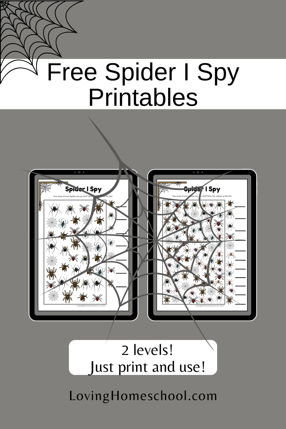 Spider I Spy Printables - LovingHomeschool.com