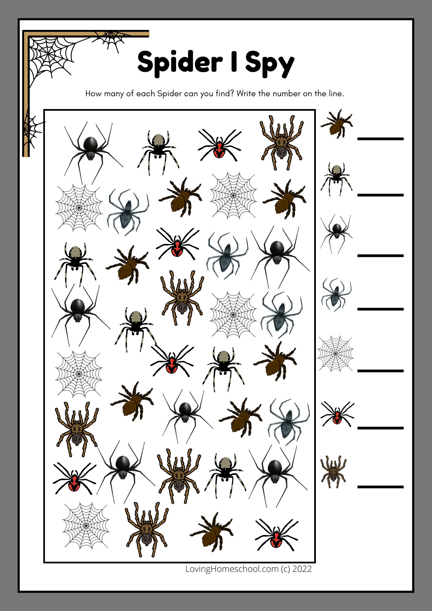 Spider I Spy Printables - LovingHomeschool.com