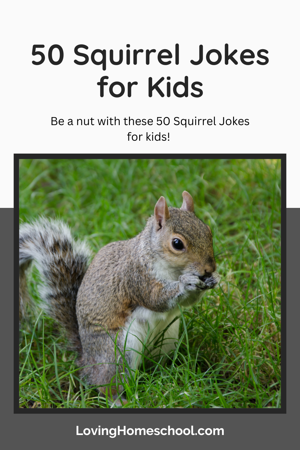 50 Squirrel Jokes for Kids - LovingHomeschool.com