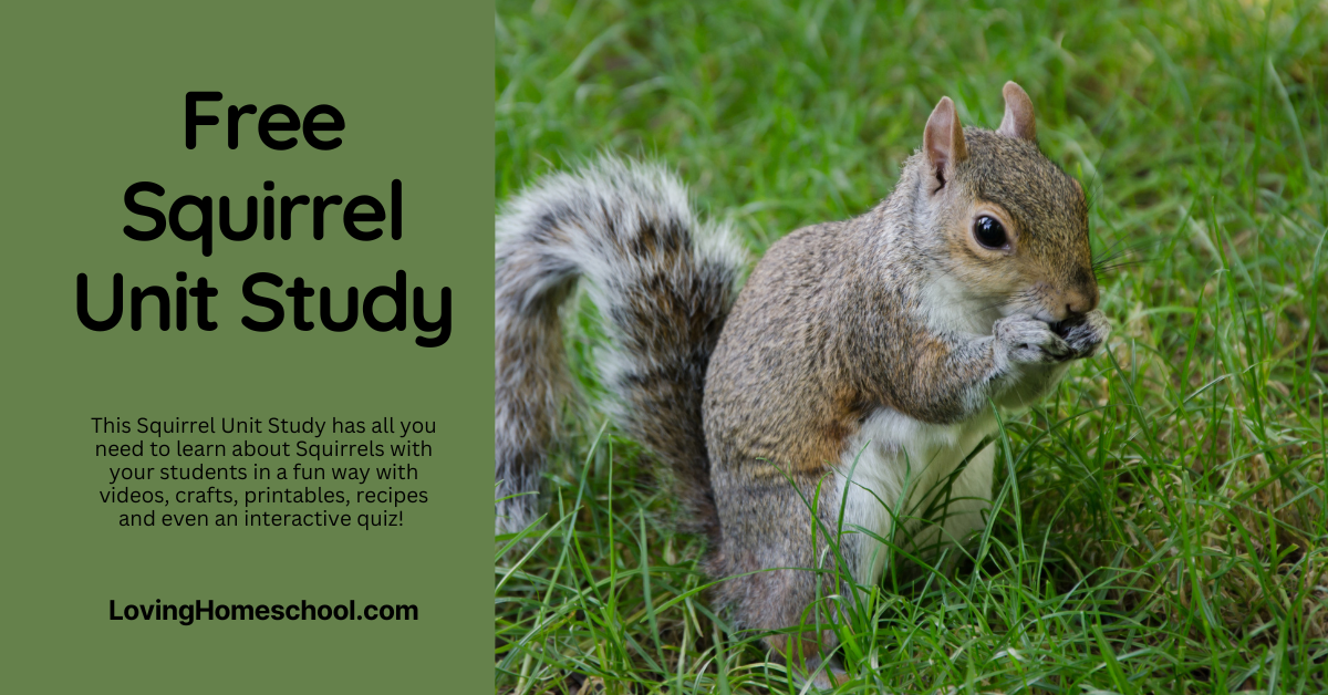 Squirrel Unit Study - LovingHomeschool.com