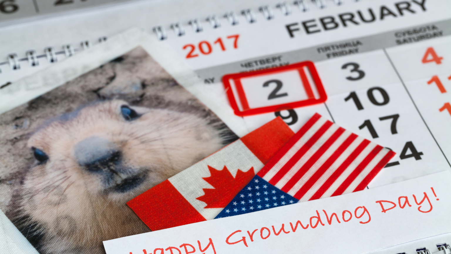 Groundhog Day Unit Study - LovingHomeschool.com