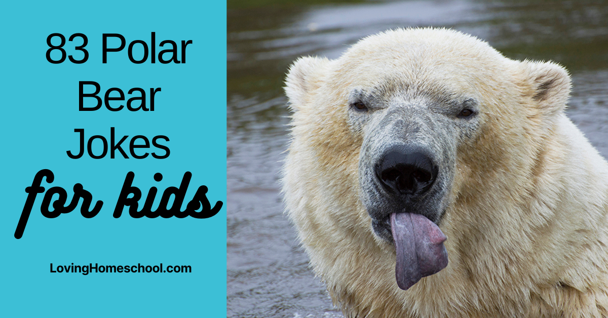 83 Polar Bear Jokes - LovingHomeschool.com