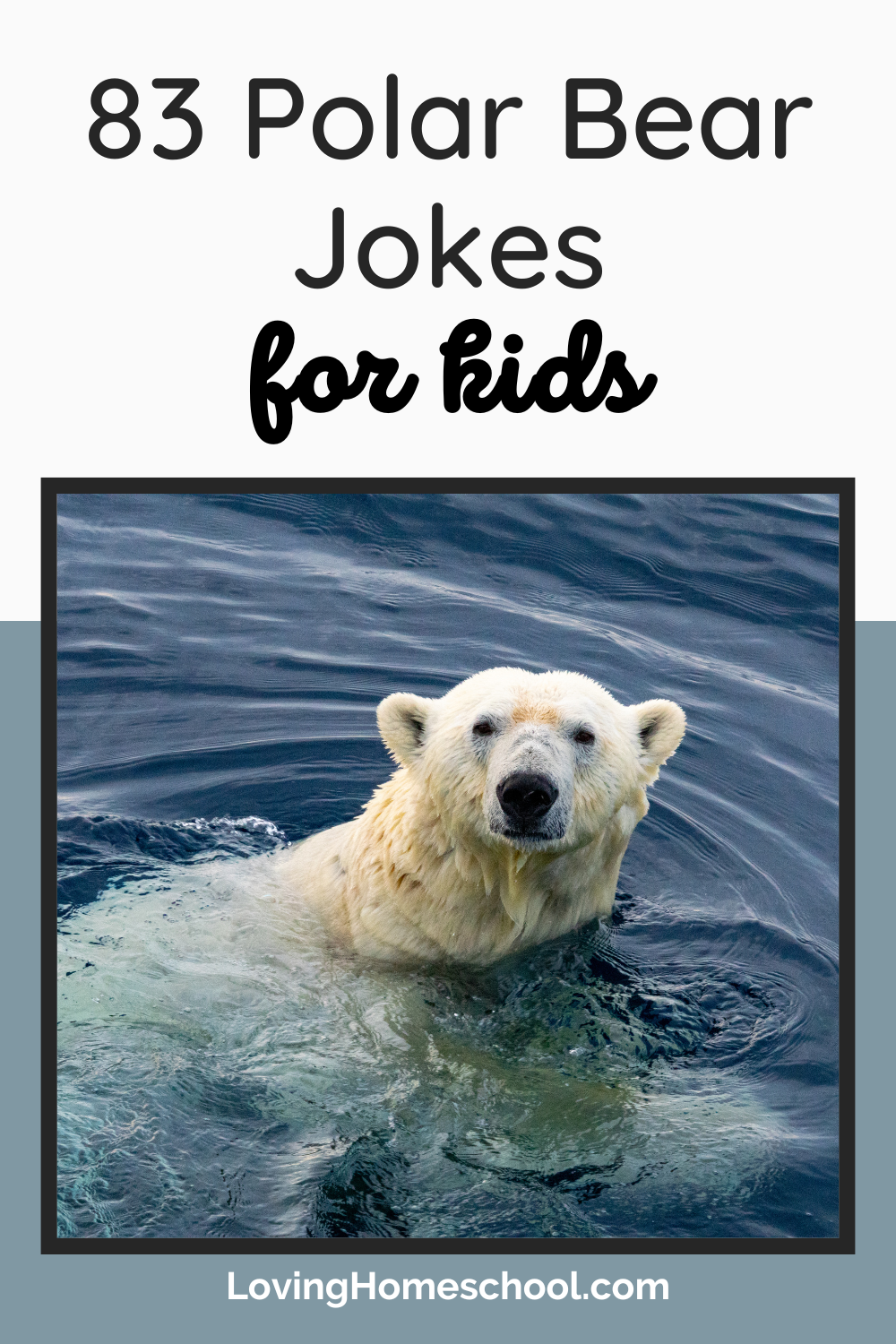 83 Polar Bear Jokes - LovingHomeschool.com