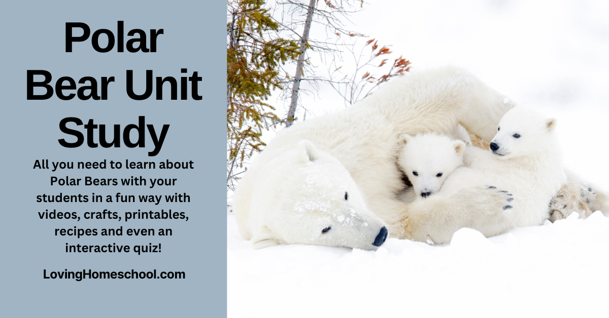 Polar Bear Unit Study - LovingHomeschool.com