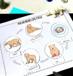 Polar Bear Unit Study - LovingHomeschool.com