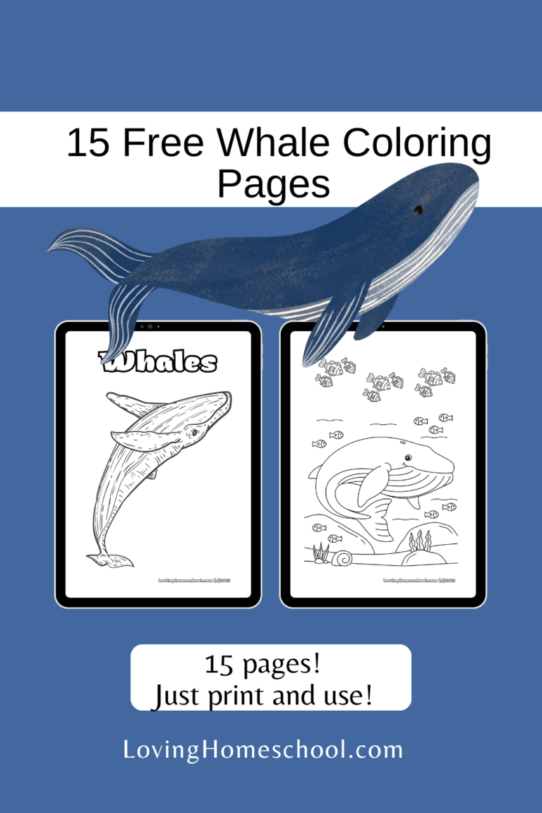 15 Free Whale Coloring Pages - LovingHomeschool.com