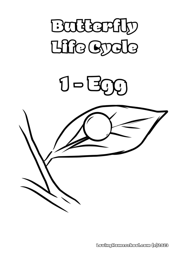 22 Free Butterfly Coloring Pages - LovingHomeschool.com