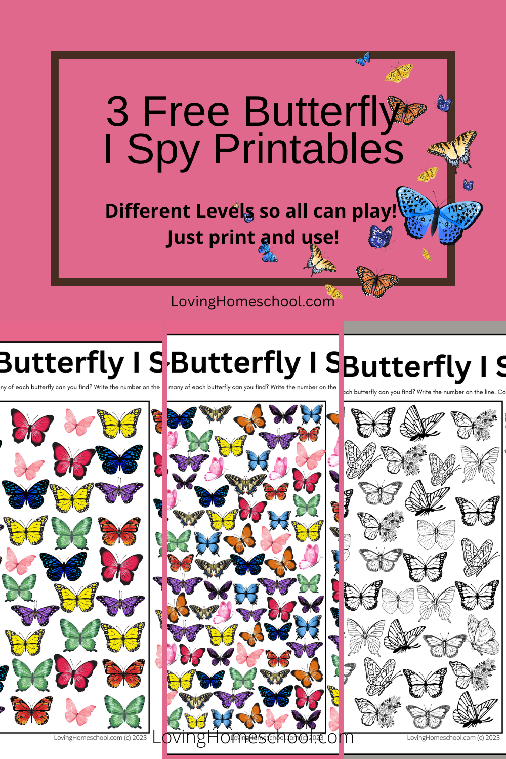 Butterfly I Spy Printables - LovingHomeschool.com