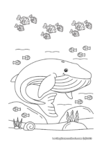 15 Free Whale Coloring Pages - LovingHomeschool.com