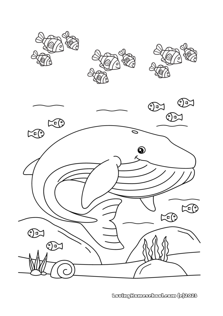 15 Free Whale Coloring Pages - LovingHomeschool.com