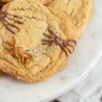 23 Spider Themed Recipes - LovingHomeschool.com