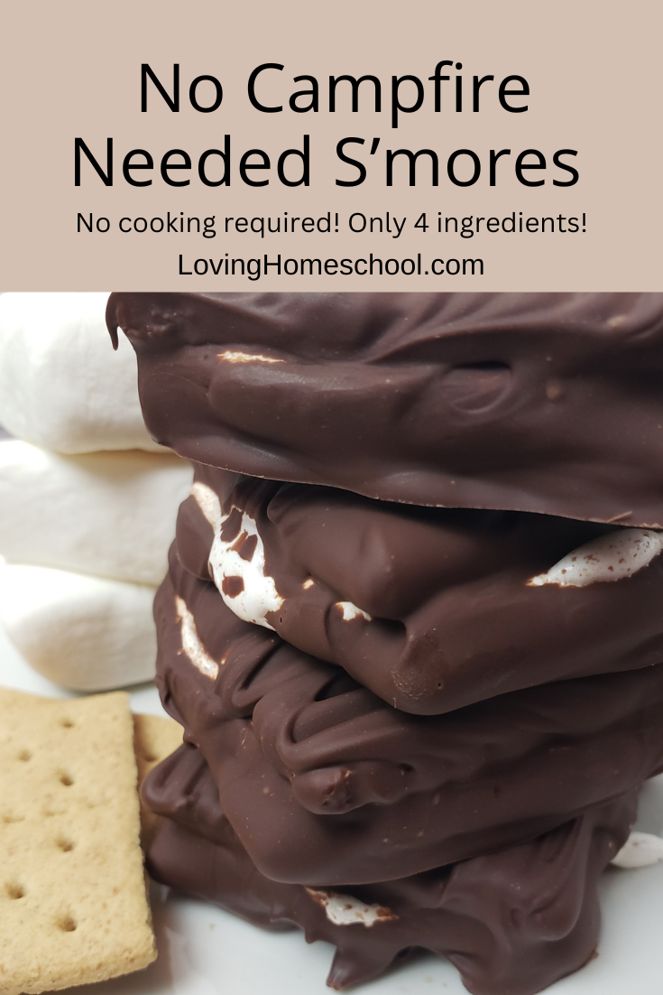 No Campfire Needed S’mores - LovingHomeschool.com