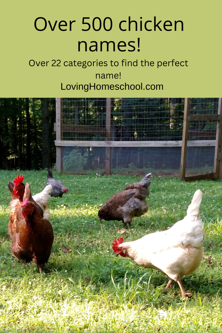 Over 500 Chicken Names! - LovingHomeschool.com
