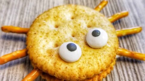 23 Spider Themed Recipes - LovingHomeschool.com