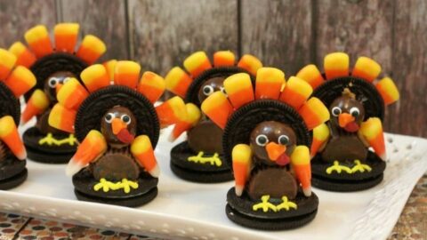 20 Turkey Themed Recipes - LovingHomeschool.com