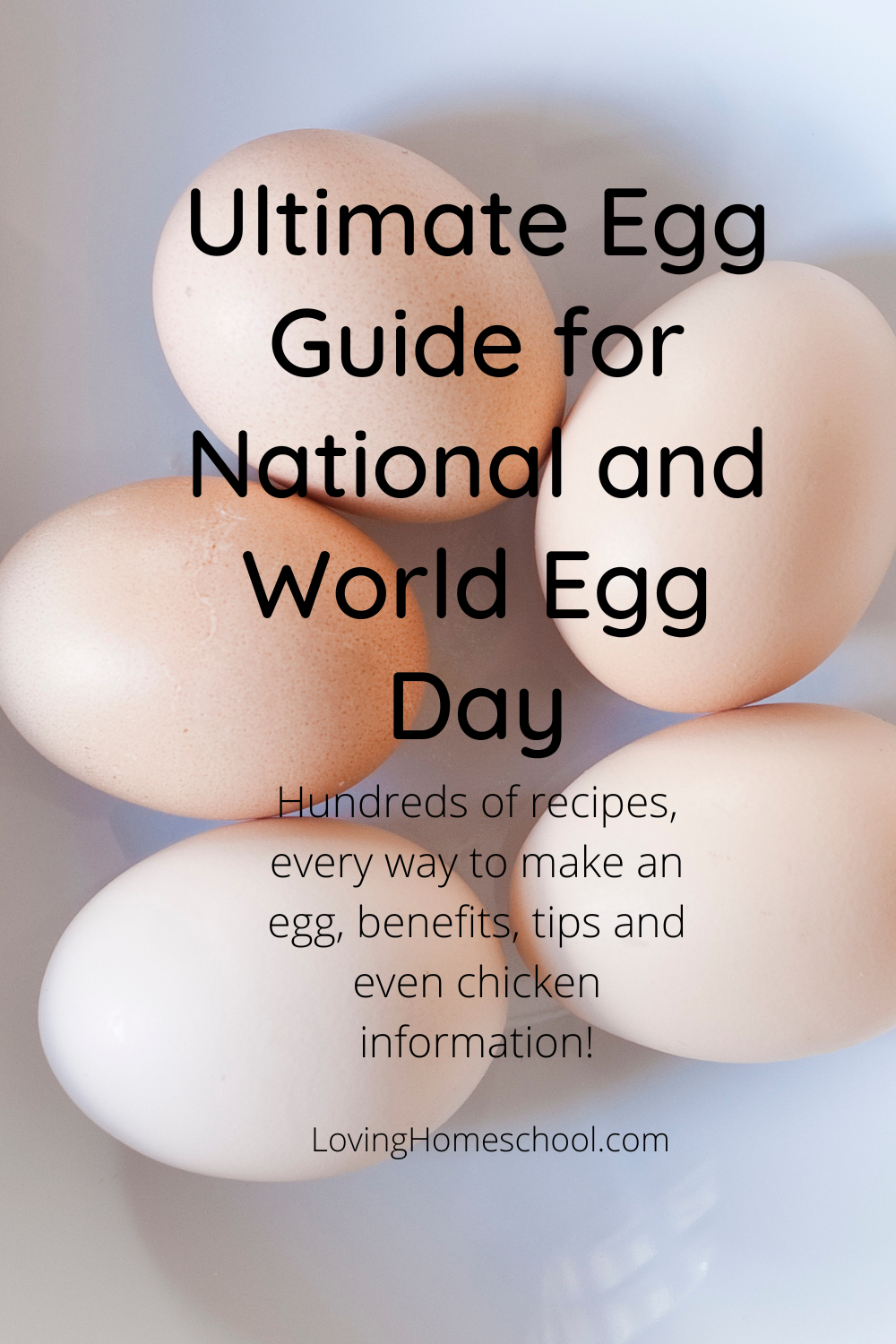 Ultimate Egg Guide for National and World Egg Day - LovingHomeschool.com