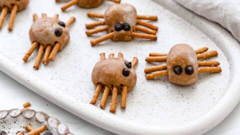 23 Spider Themed Recipes - LovingHomeschool.com