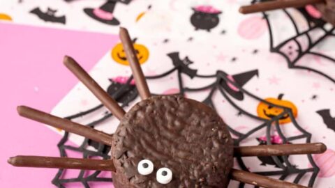 23 Spider Themed Recipes - LovingHomeschool.com