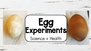 Ultimate Egg Guide for National and World Egg Day - LovingHomeschool.com