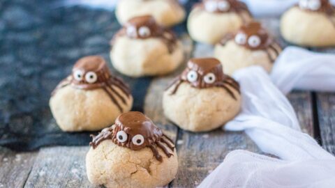 23 Spider Themed Recipes - LovingHomeschool.com