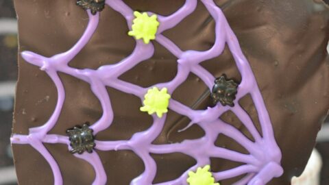 23 Spider Themed Recipes - LovingHomeschool.com