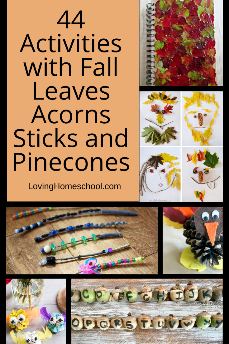 44 Activities with Fall Leaves Acorns Sticks and Pinecones ...