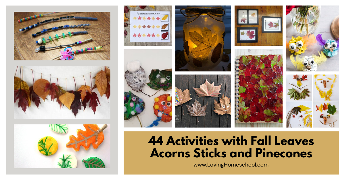 44 Activities with Fall Leaves Acorns Sticks and Pinecones ...