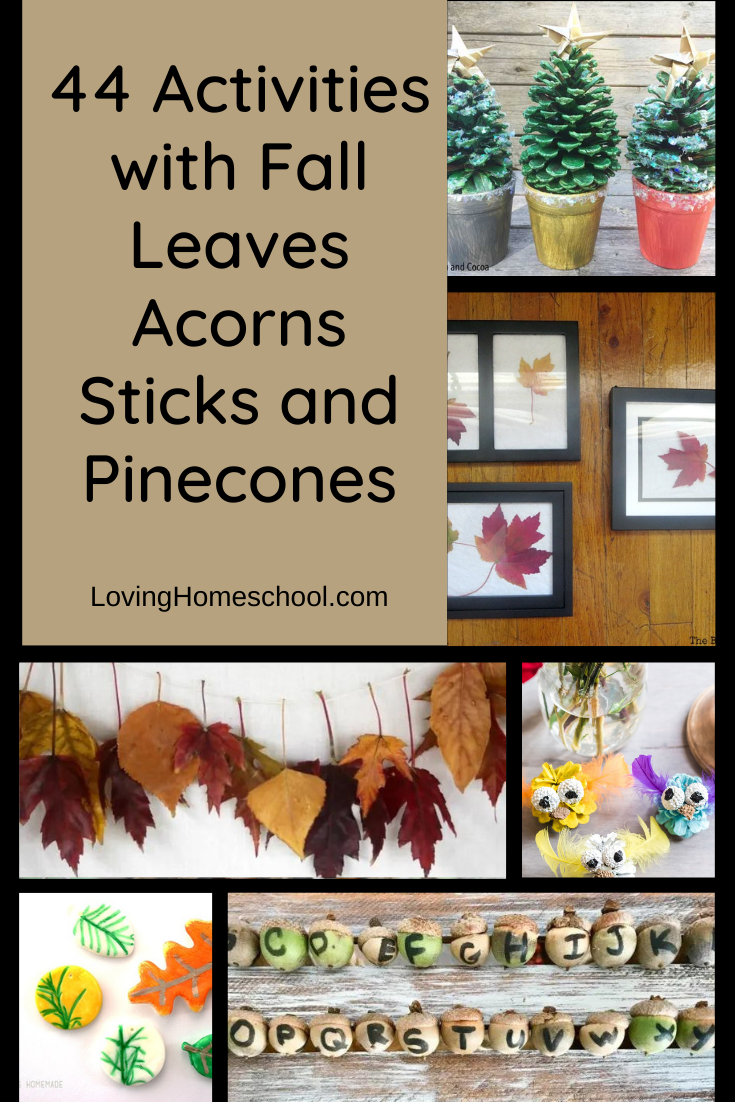 44 Activities with Fall Leaves Acorns Sticks and Pinecones ...