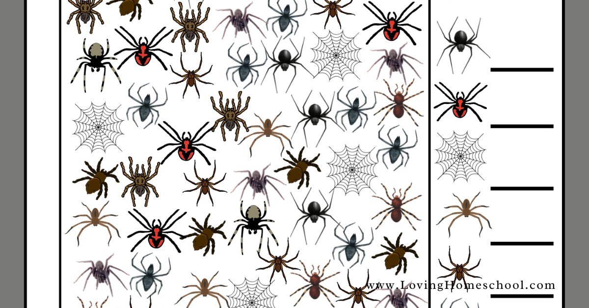 Spider I Spy Printables - LovingHomeschool.com