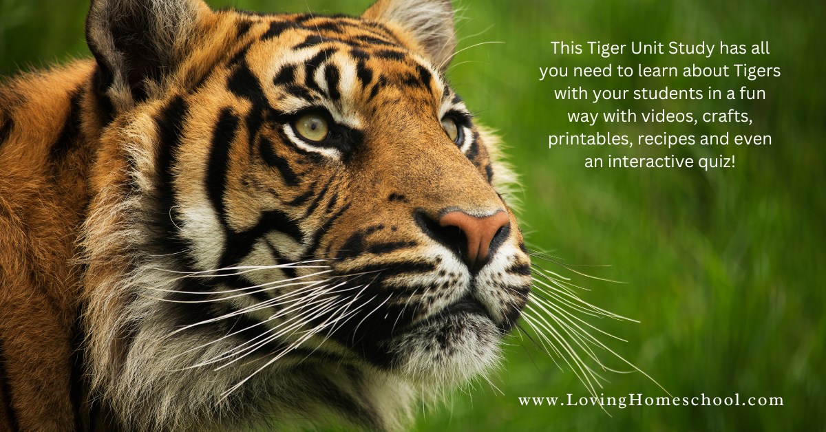Tiger Unit Study - LovingHomeschool.com