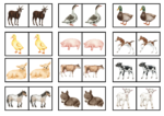 Free Printable Farm Animals Memory Matching Game - LovingHomeschool.com